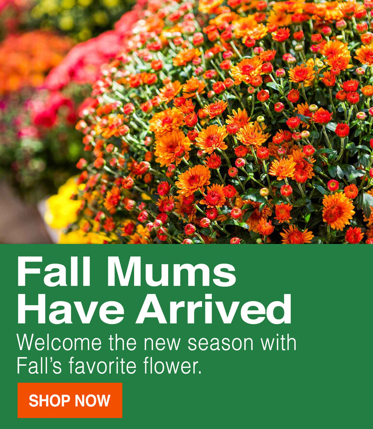 Stine Home + Yard : The Family You Can Build Around™