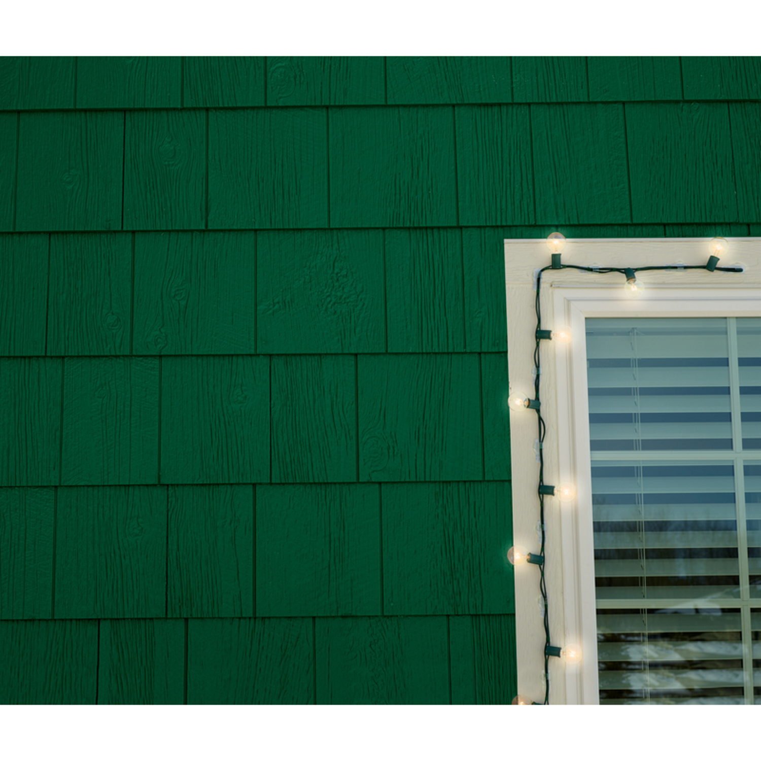 3M Command Small Plastic Light Clips 1.25 in. L 16 pk | Stine Home ...