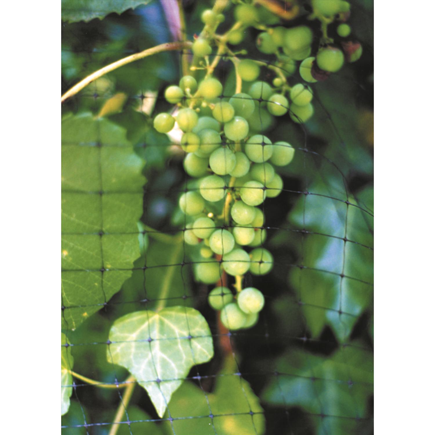 Tenax 100 ft. L X 7 ft. W 1 pk Bird Netting | Stine Home + Yard : The ...