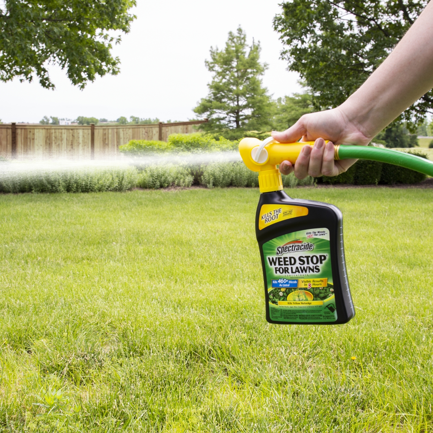 Spectracide Weed Stop Weed Killer Concentrate 32 oz | Stine Home + Yard ...