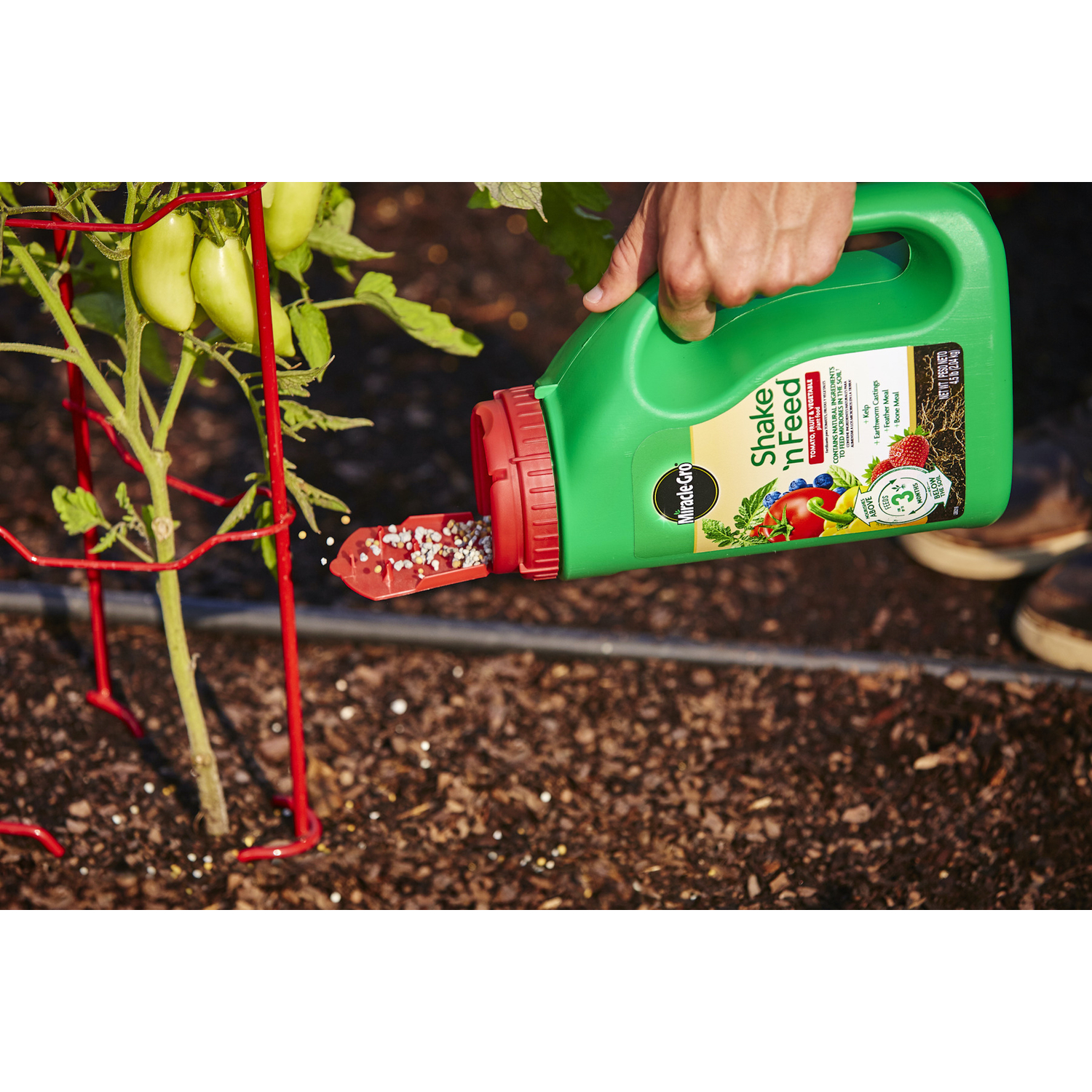 Miracle-Gro Shake 'n Feed Granules Plant Food 4.5 lb | Stine Home ...