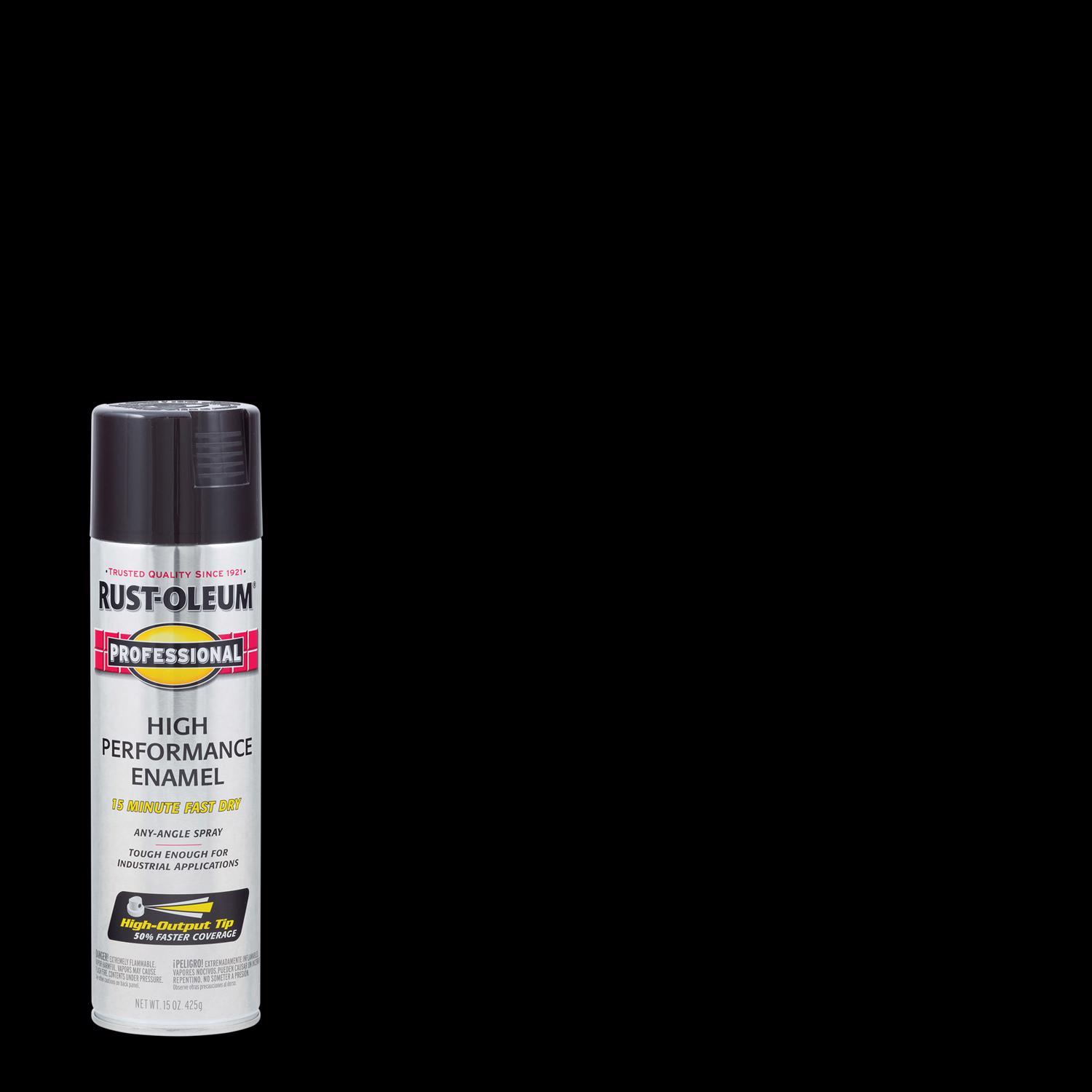 Rust-Oleum Professional Gloss Black Spray Paint 15 oz | Stine Home ...
