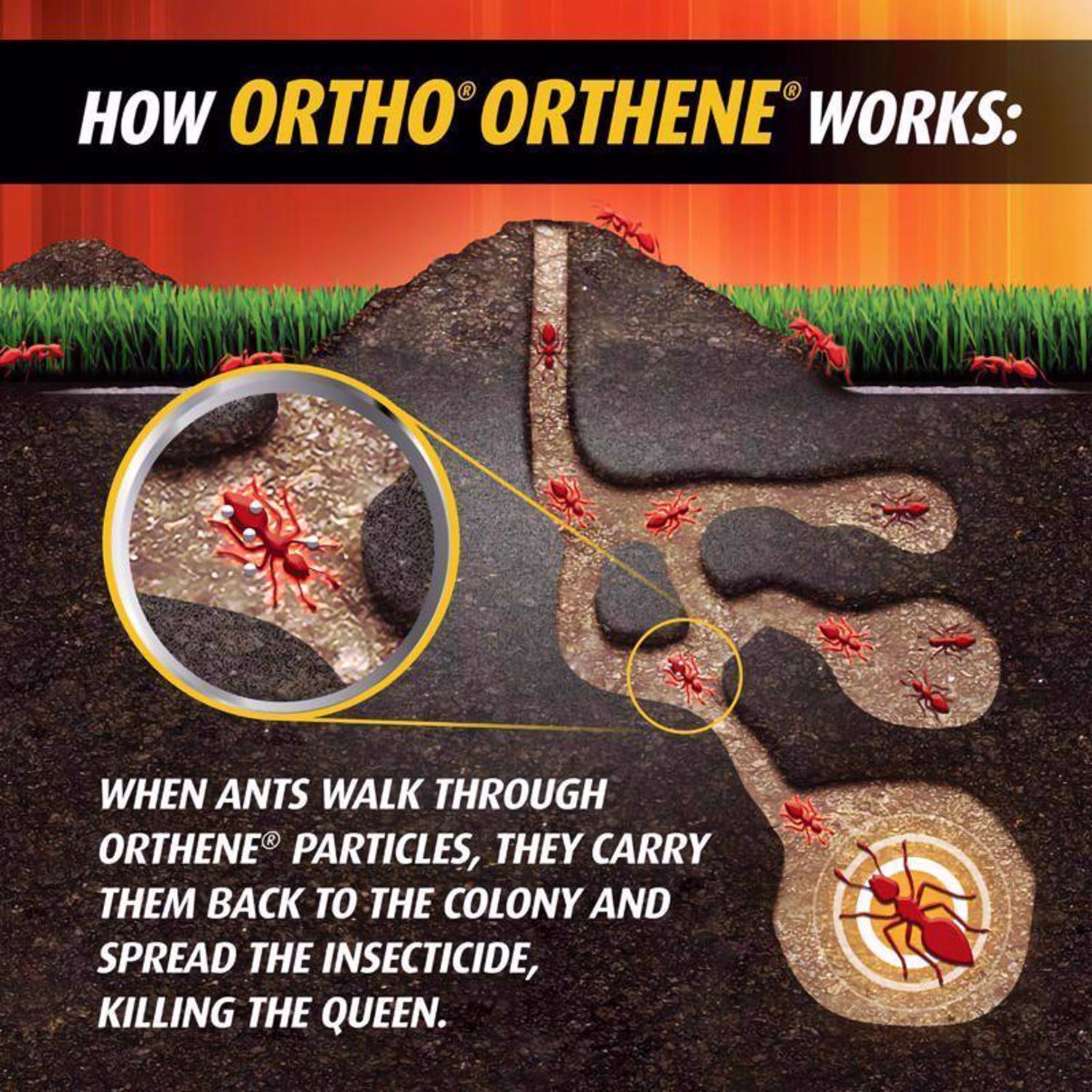 Ortho Orthene Fire Ant Killer Powder 12 oz | Stine Home + Yard : The ...