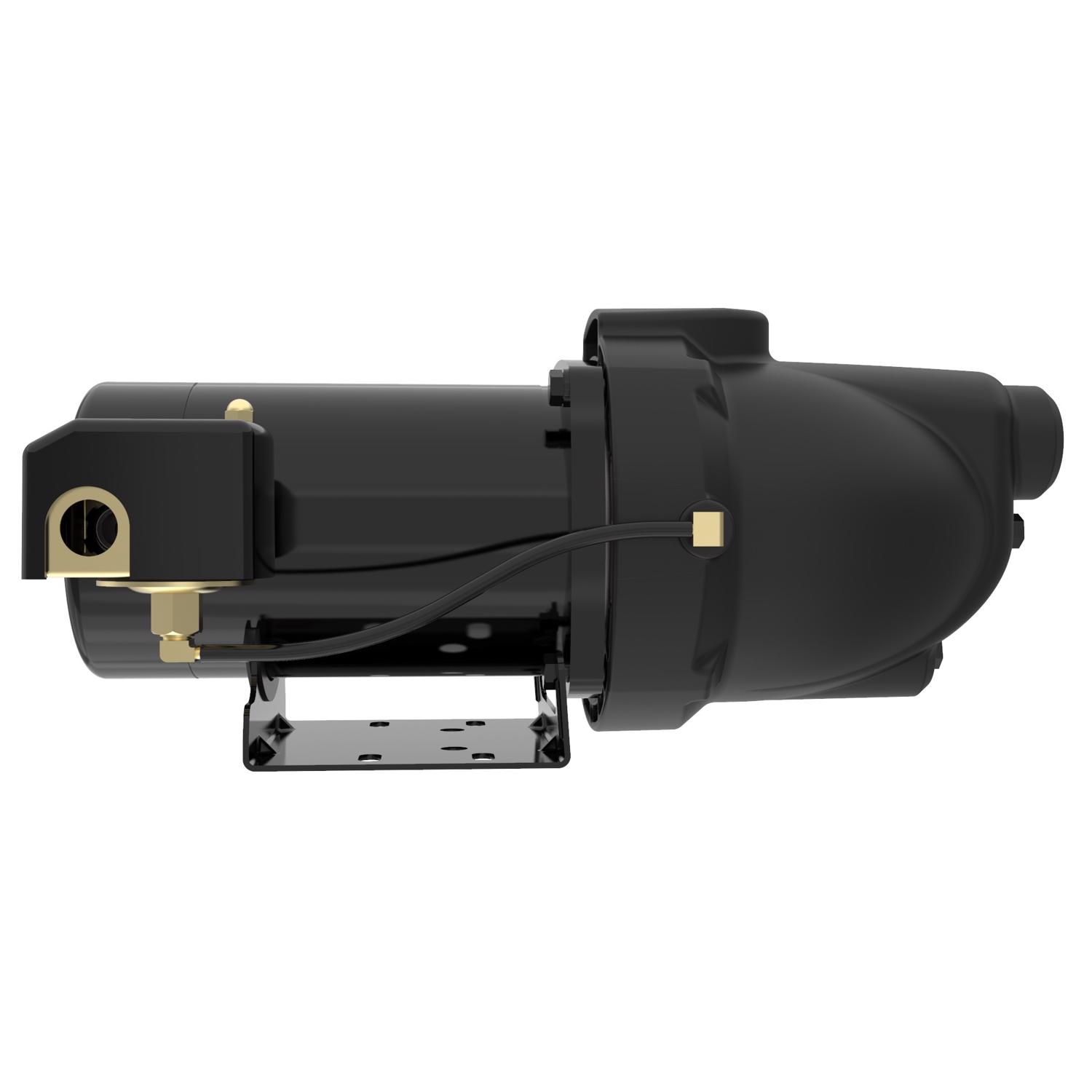 Flotec 1 HP 810 gph Cast Iron Convertible Jet Well Pump | Stine Home ...